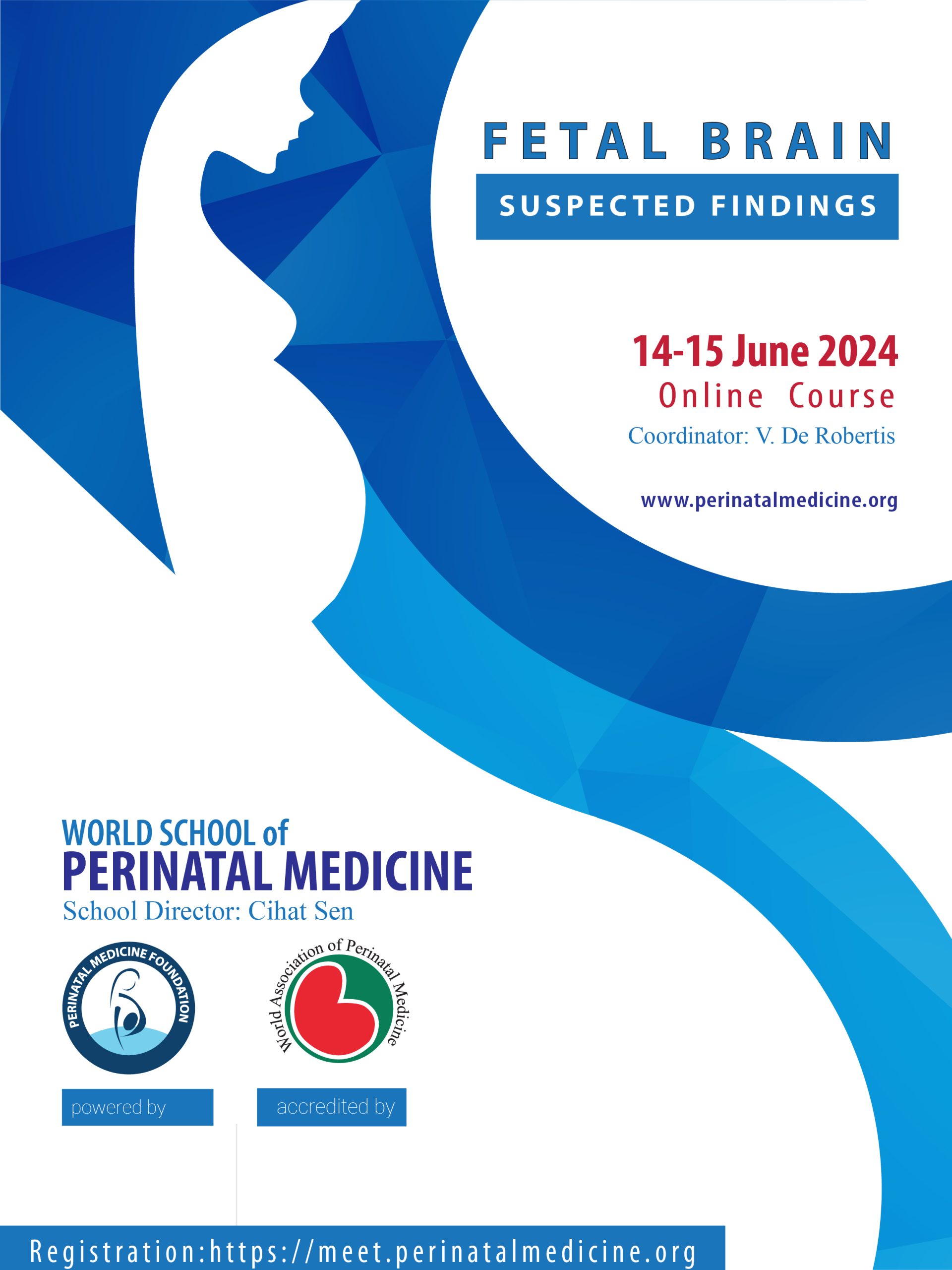 Home - Perinatal Medicine Foundation